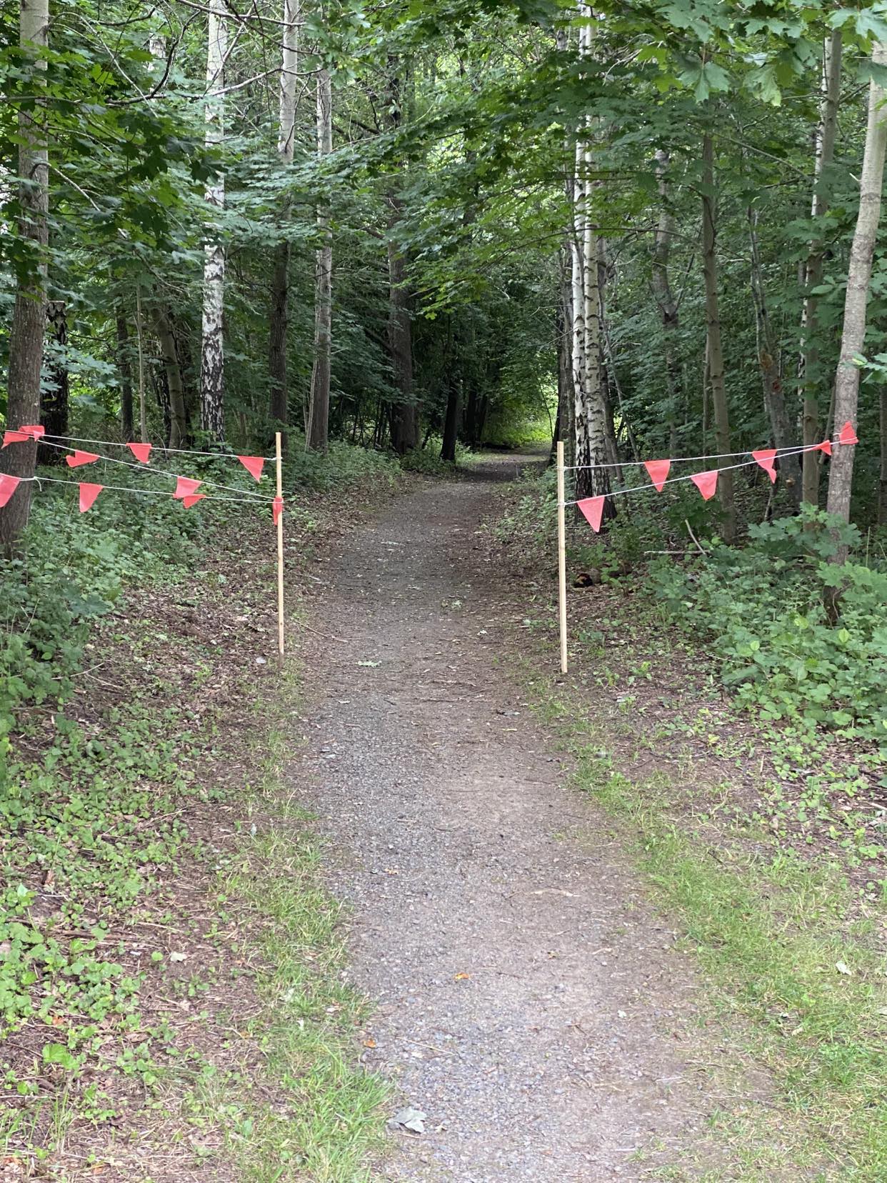 Vägen till grillplatsen – Vessigebro Vägsamfällighetsförening